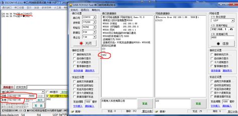 【stm32】19，tcpip W5500作为服务器，pc机的配置；udp；dhcp获取ip失败解决方法；dns解析失败解决方法，w5500