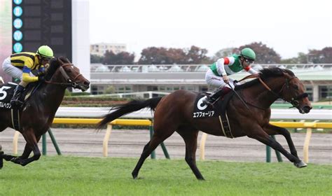 【百日草特別】エフフォーリア無傷2連勝飾った 横山武「先々が楽しみ」競馬・レースデイリースポーツ Online