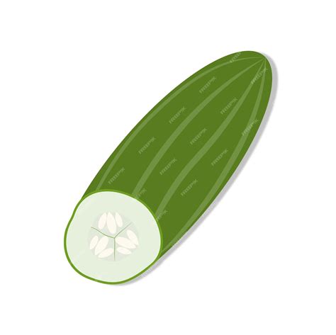 Premium Vector Cucumber Element Illustration