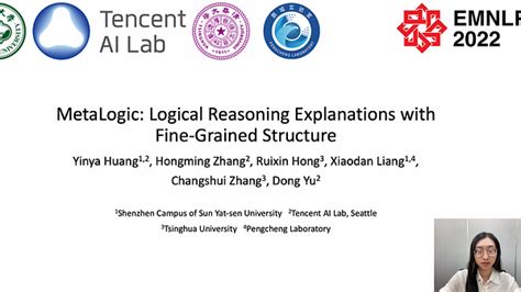 Metalogic Logical Reasoning Explanations With Fine Grained Structure