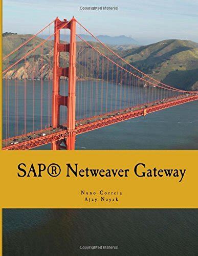 Sap Netweaver Gateway Learn How To Use Sap Netweaver Gateway For Ui5 And Abap Projects By