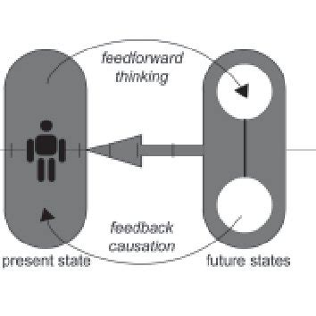 Feedback And Feedforward Download Scientific Diagram