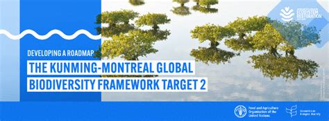 Developing A Roadmap For The Kunming Montreal Global Biodiversity