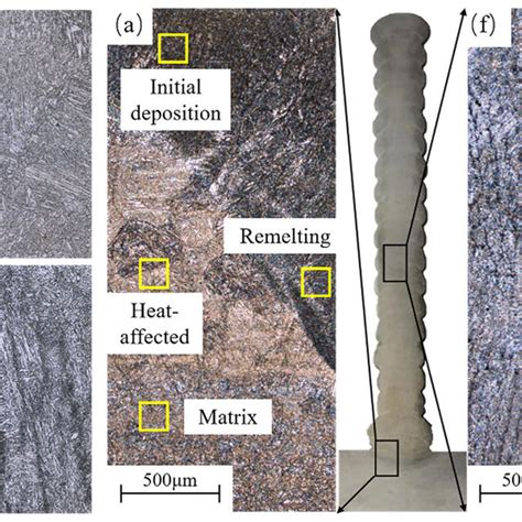 Metallographic Micrograph A The Junction Of The Matrix And The Download Scientific Diagram