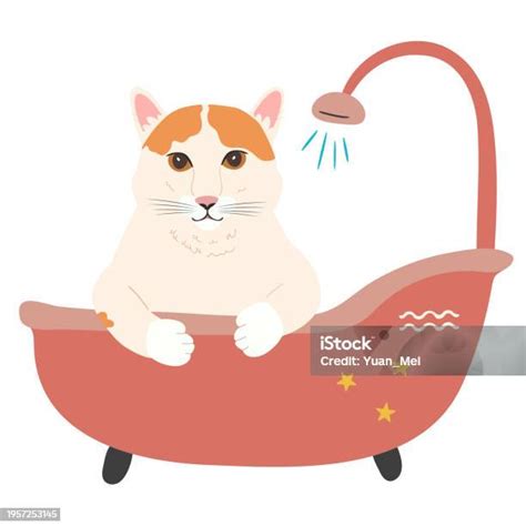 만화 물병자리 고양이 플랫 스타일은 욕조에 앉아 있습니다 벡터 조디악 일러스트 0명에 대한 스톡 벡터 아트 및 기타 이미지