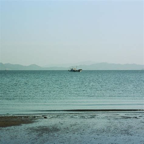 큰새 독립서점 사건사고가 많았던 6월 제발 잘 가라 오지마 Instagram