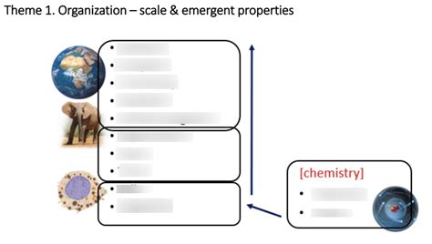 Biology Lecture Module 1 Diagram Quizlet