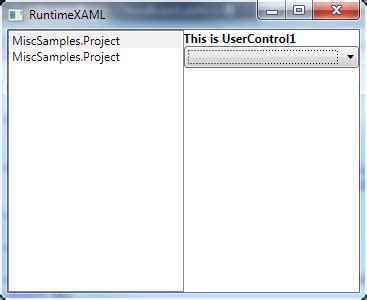 Wpf Binding A Control To Xaml Provided By Domain Object Stack Overflow