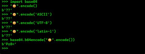 Encoding And Decoding In Python For Managing Data