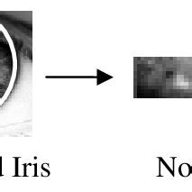 Iris Recognition Process Download Scientific Diagram