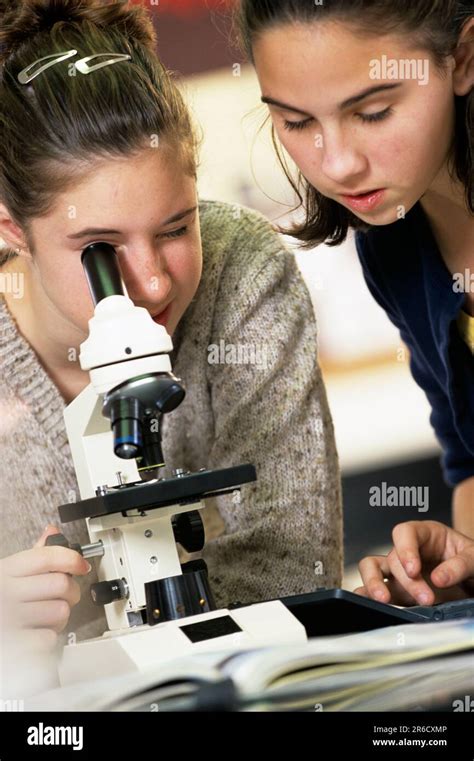 Female Babes Cooperating On A Biology Assignment Using A Microscope In ClassYes Stock Photo