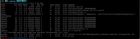 2021 afctf [afctf 2021]secret csdn博客