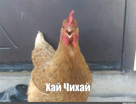 Meme Хай Чихай All Templates Meme
