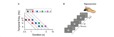 A Two Dimensional Representation Of Stimulus Space Plotting Temporal