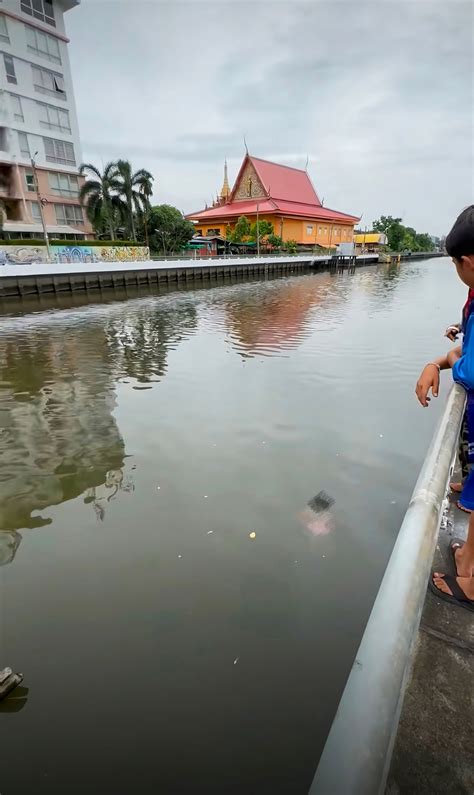 พระโขนง บางนา ส ส บางนา พระโขนง ไม่ทำให้ผิดหวัง นอกจากงานพื้นที่เด่นแล้ว ในสภาก็มีวินัยดี ขยัน