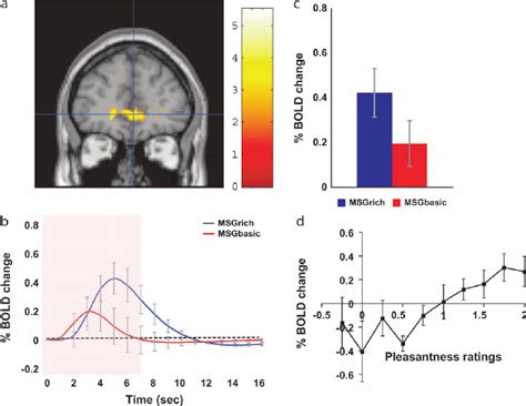 A The Pregenual Cingulate Cortex Was More Strongly Activated When