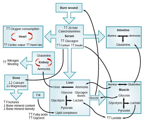 Surgicalcore Table Figure