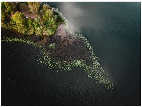 What Is Ecocentrism In Environmental Ethics Environmental Ethics