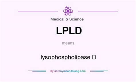 Lpld Lysophospholipase D In Medical And Science By