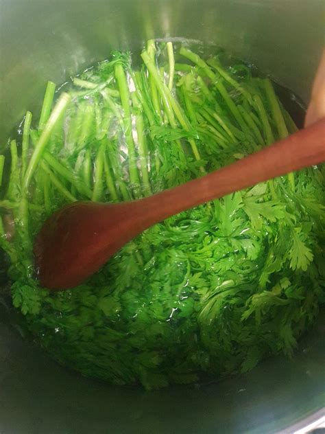 쑥갓나물 쑥갓무침 레시피 쑥갓요리 봄나물