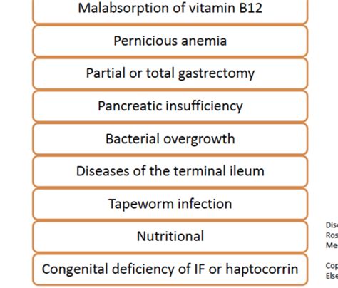 Macrocytic Anemia Differential Diagnosis Evaluation And Treatment Flashcards Quizlet Macrocytic Anemia Differential Diagnosis Evaluation And Treatment Flashcards Quizlet