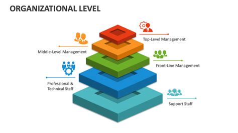 Organizational Levels Diagram