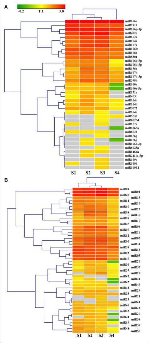 Hierarchical Clustering Analysis Of Known Mirnas A And Novel Mirnas