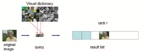 Simulated Search Experiment Download Scientific Diagram