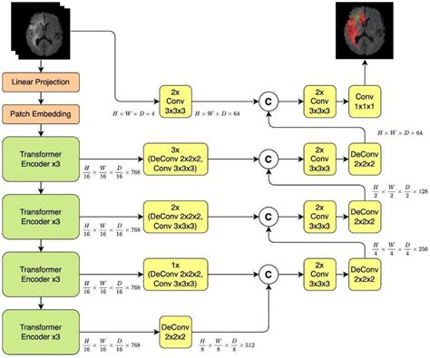 A Recent Survey Of Vision Transformers For Medical Image Segmentation Paper And Code Catalyzex
