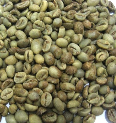 Robusta Coffee Beans JAVA JEMBER RENGGANIS PREMIUM ROBUSTA From Koffie Goenoeng Fairshare