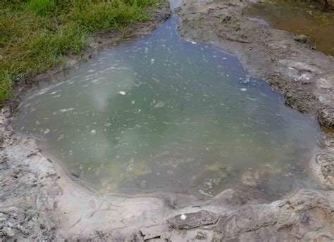 Sieving The Mesolithic