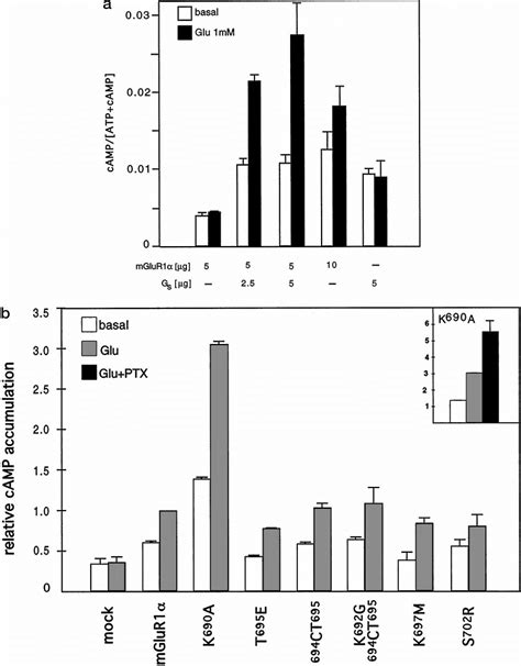 Mglur1 Mediated Stimulation Of Endogenous Adenylyl Cyclase Via G S In