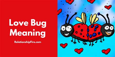 Love Bug Meaning In Dating And Texts Explained 20 Examples