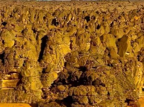 صخور مبعثرة نقشت عليها رسومات تشبه بعض الحيوانات وطلاسم غير مفهومة ما