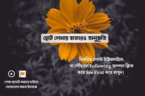 Short Story ছোট গল্প