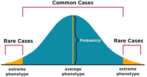 What Is Polygenic Inheritance Explain With The Help Of A Suitable