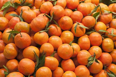 15 Juicy Facts About Oranges You Didn T Know OhMyFacts