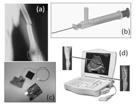 Examples Of The Project Outputs From The Interdisciplinary Biomedical