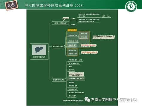 PPT 肝脏影像通用术语和图谱解读 影像PPT