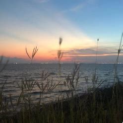 Ctp Examples Ctp Examples