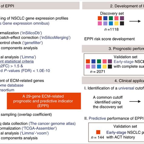 Schematic Representation Of The Bioinformatics Workflow We Constructed