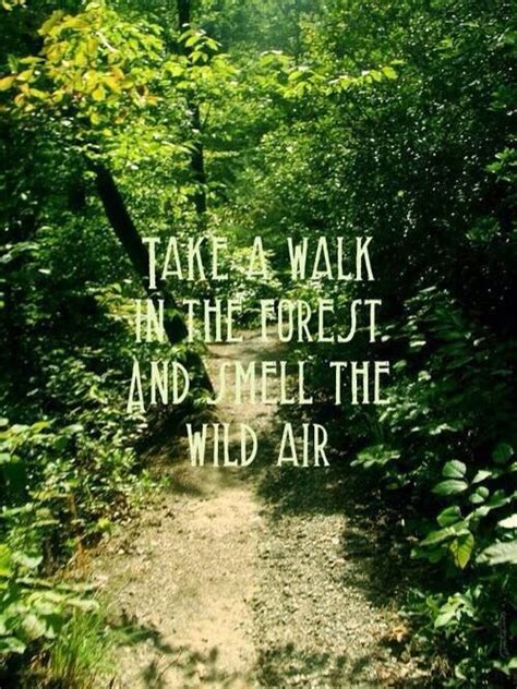 Pin By Sunshine Parenting On Camp Nature Quotes Nature Forest