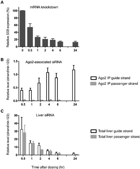 Kinetics Of Silencing Sirna Tissue Uptake And Ago2 Loading In Mouse