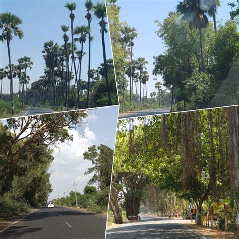 Gaurav Shishodia On Linkedin In This Summer There Are Two Things Which Are Really Natural