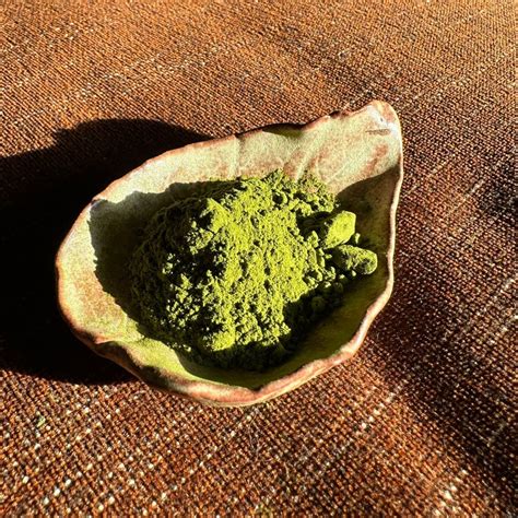 Huitotouitoto Tribe Mambe Kiss The Sky ~aho