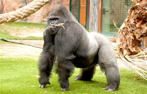 Master Of Your Domain Part 1 Where Should I Register Winhost Blog