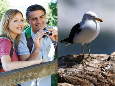 People Are Using The Bird Test To Figure Out If Their Relationships Are Solid Or Not