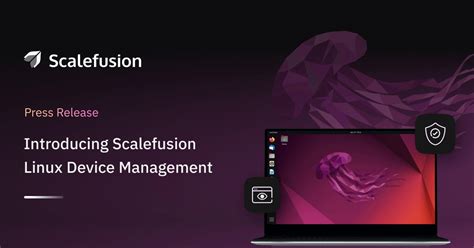 Scalefusion Introduces Linux Device Management