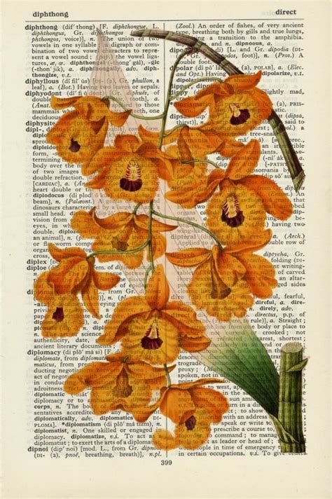 Идеи для рисования ВКонтакте Flower Illustration Book Page Art Dictionary Art Print