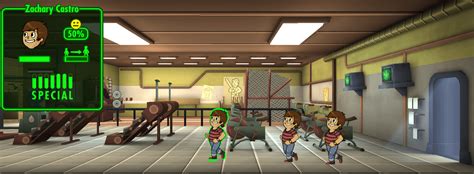 [question] Legendary Triplets Is This Common R Foshelter